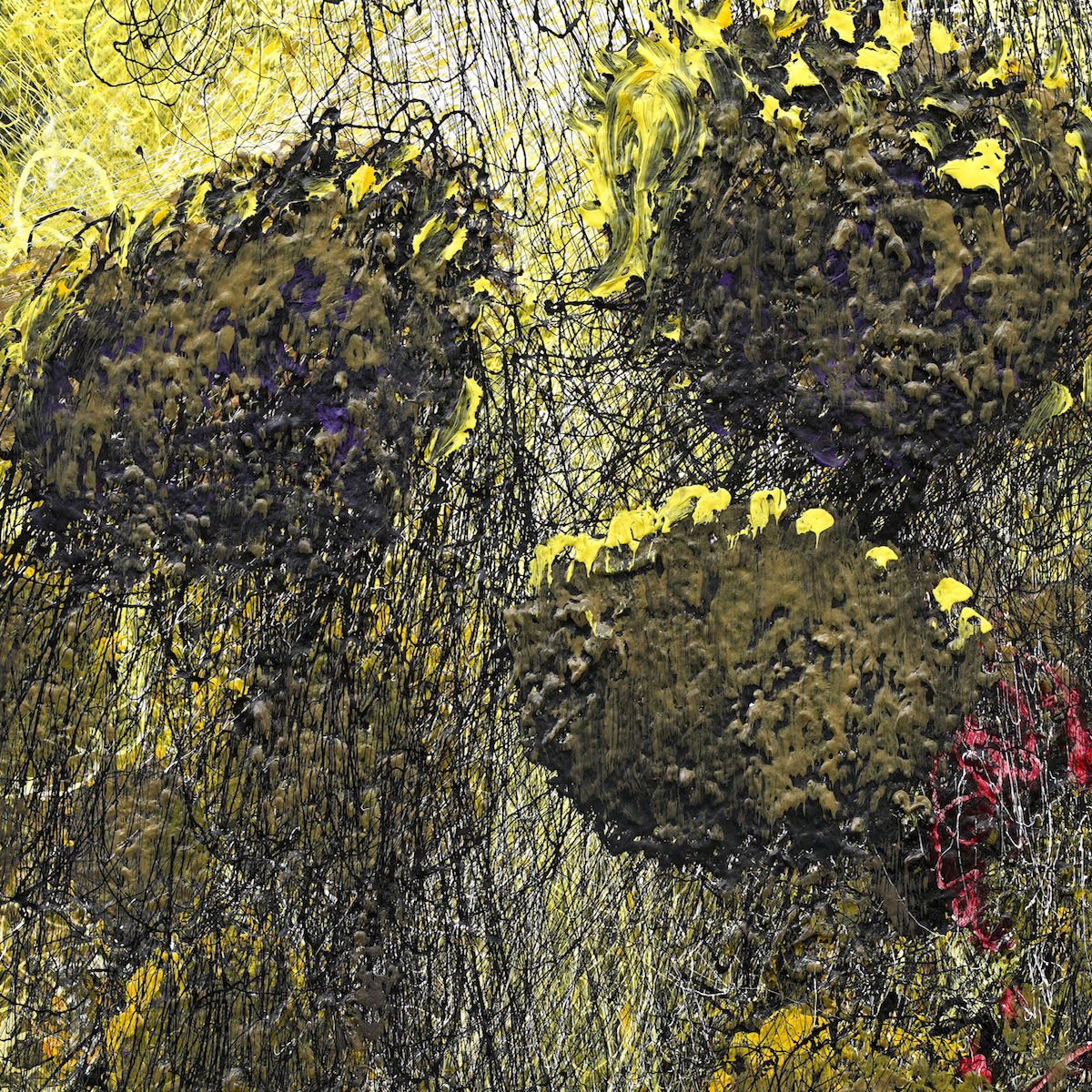 home - Reinoud van Vught